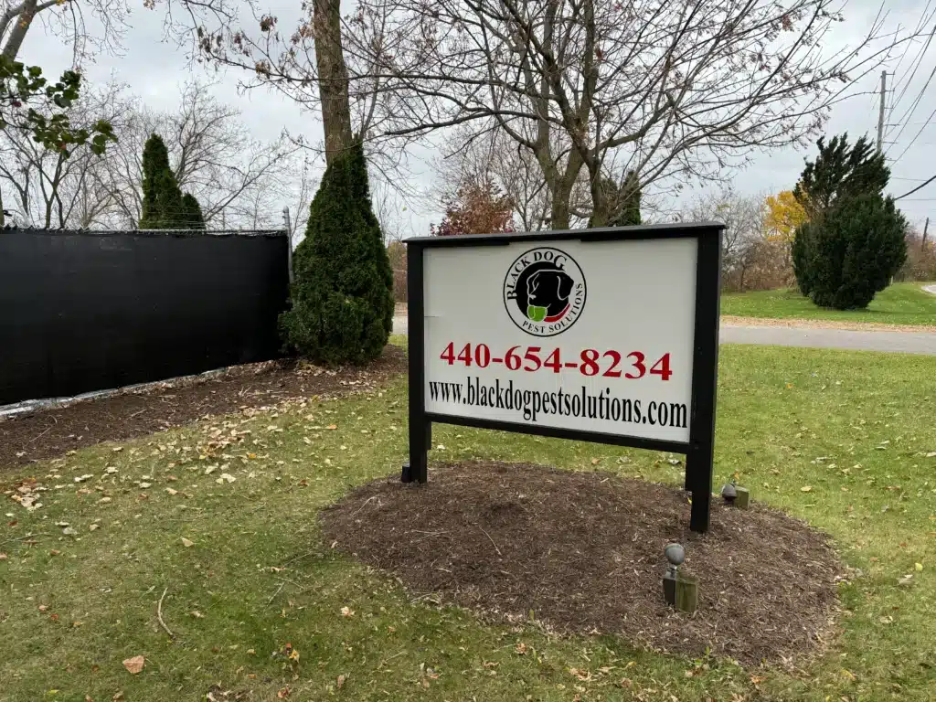 Boxelder Bug Exterminator | Black Dog Pest